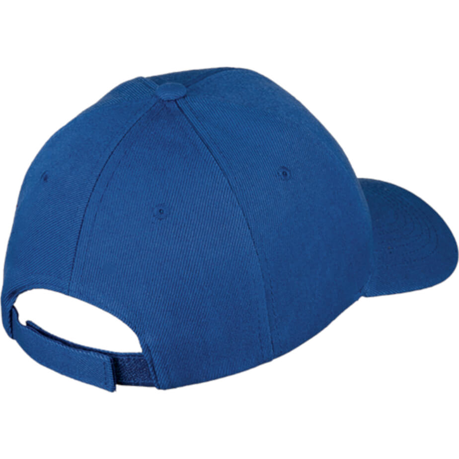 6 Panel Raven Cap | Brandability